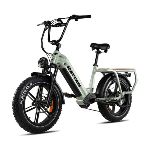 Order Rattan Quercus Low Step Fat Tire Cargo Electric Bike on Sale – eBikeJoy!