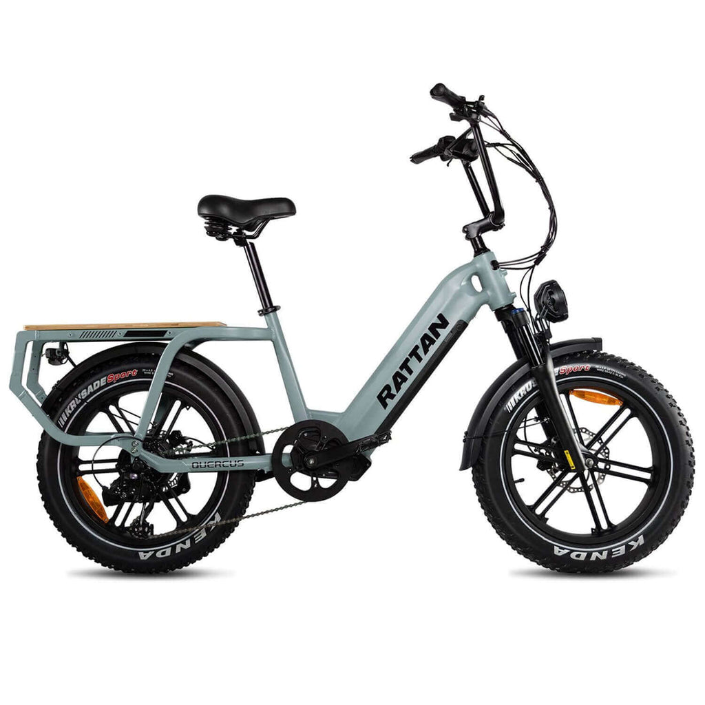 Order Rattan Quercus Low Step Fat Tire Cargo Electric Bike on Sale – eBikeJoy!
