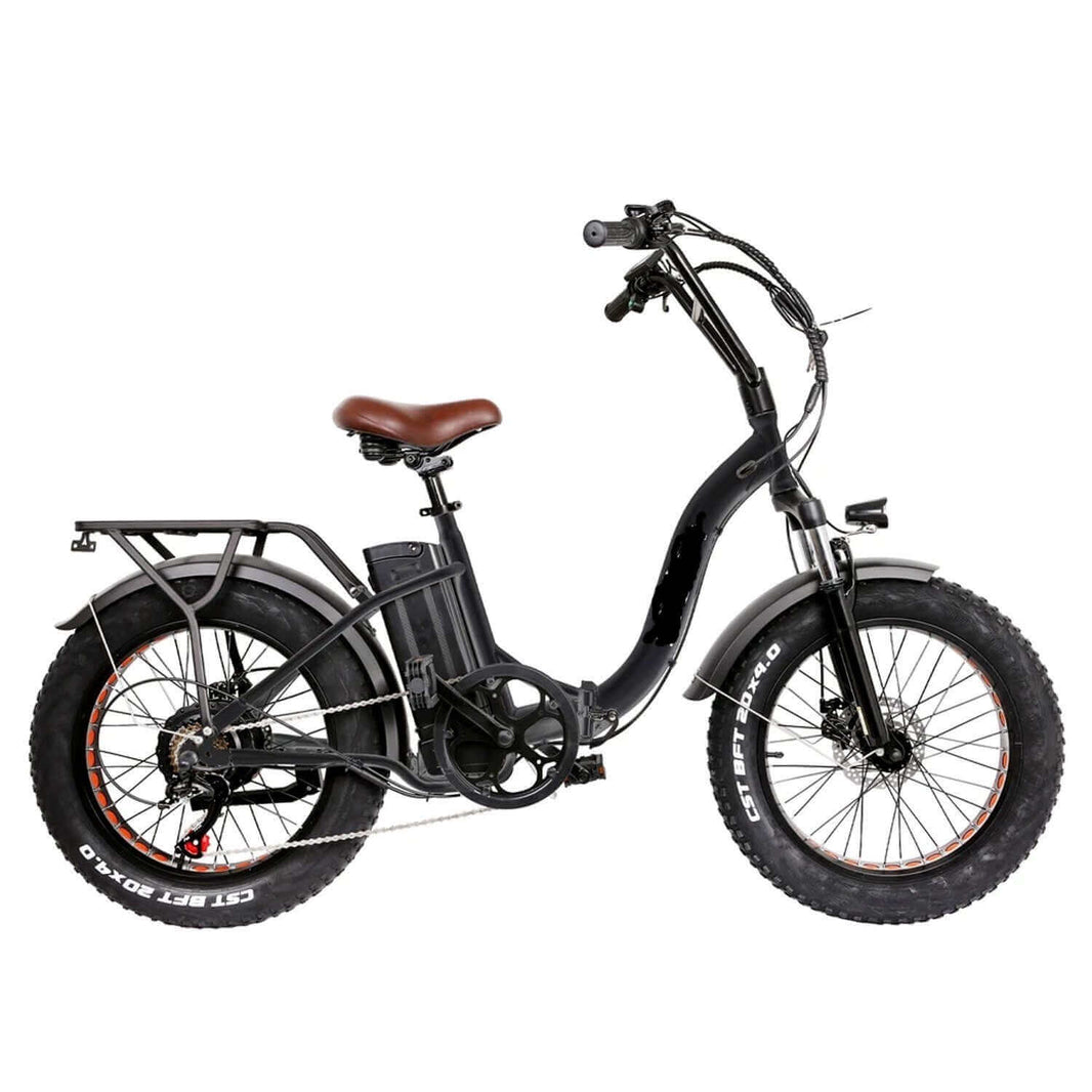 Step-Through and Low Step Electric Bikes – eBikeJoy!